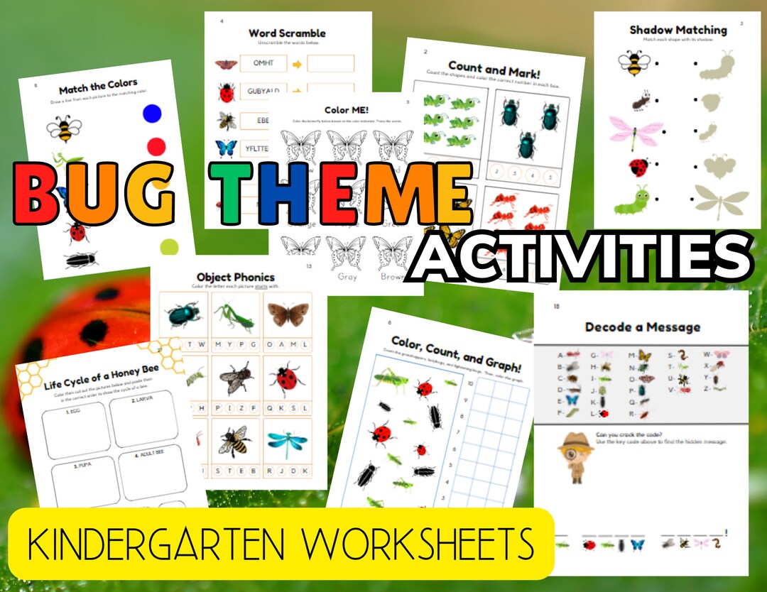 Bug Theme Education Activities. Kindergarten Worksheets With - Etsy