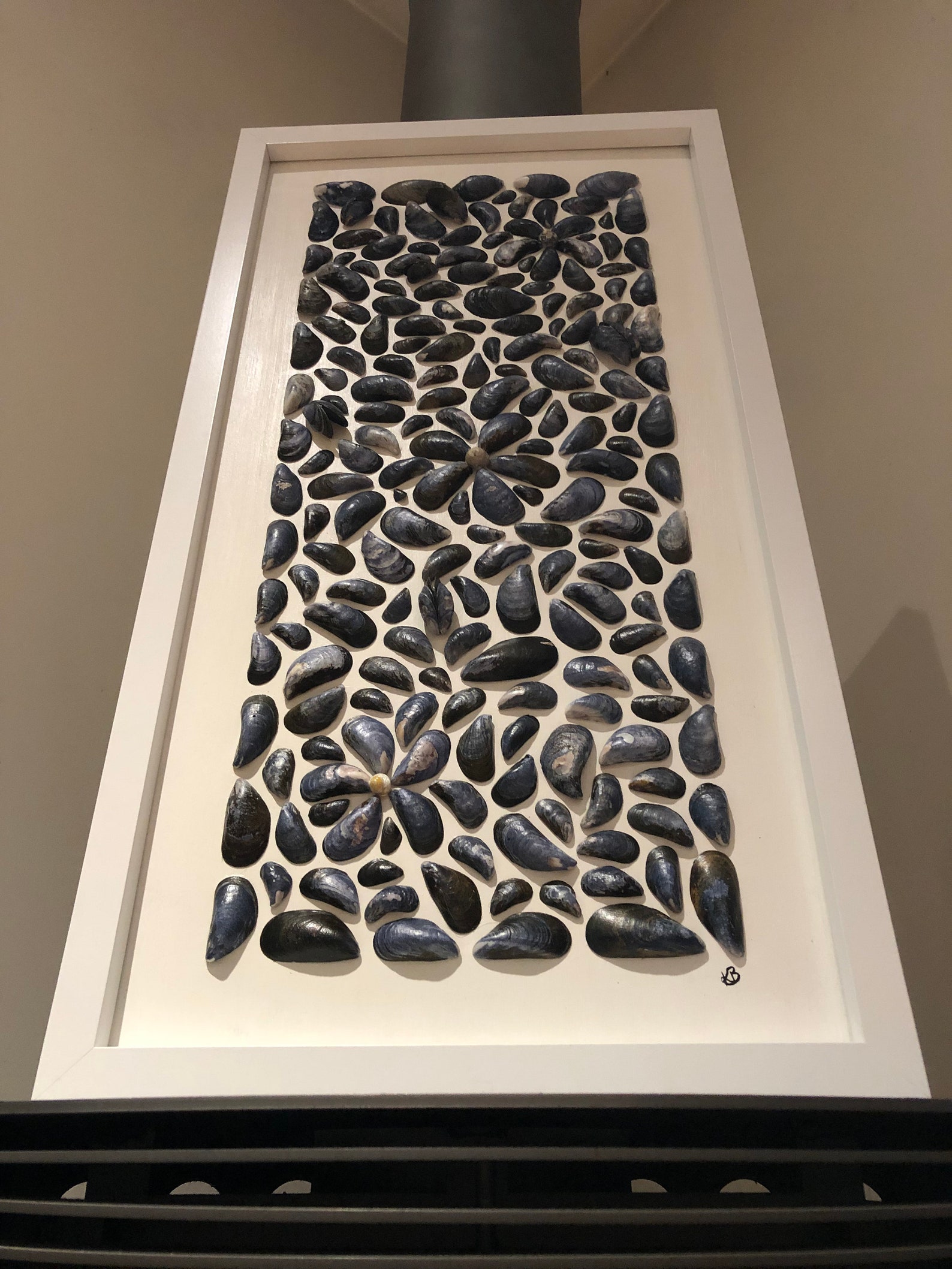 Rectangle Cornish Mussel Shell Picture - Etsy