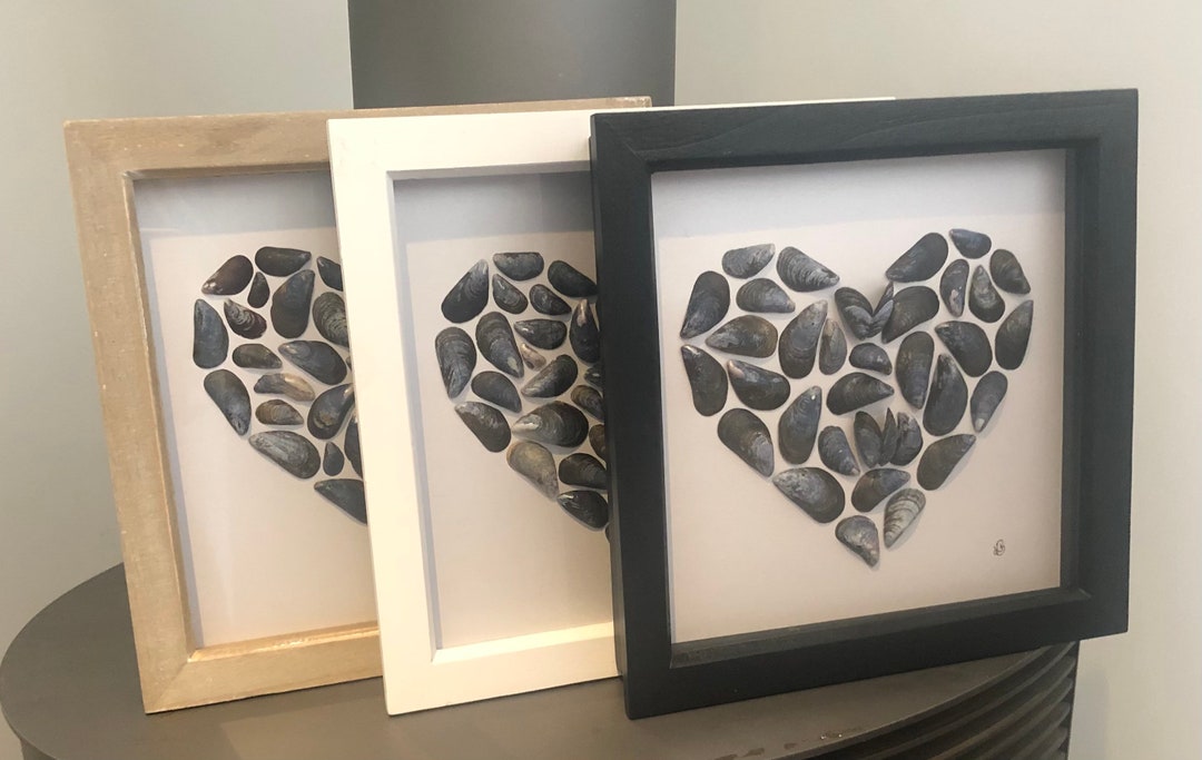 Cornish Mussel Shell Heart Picture in Deep Box Frame. - Etsy UK