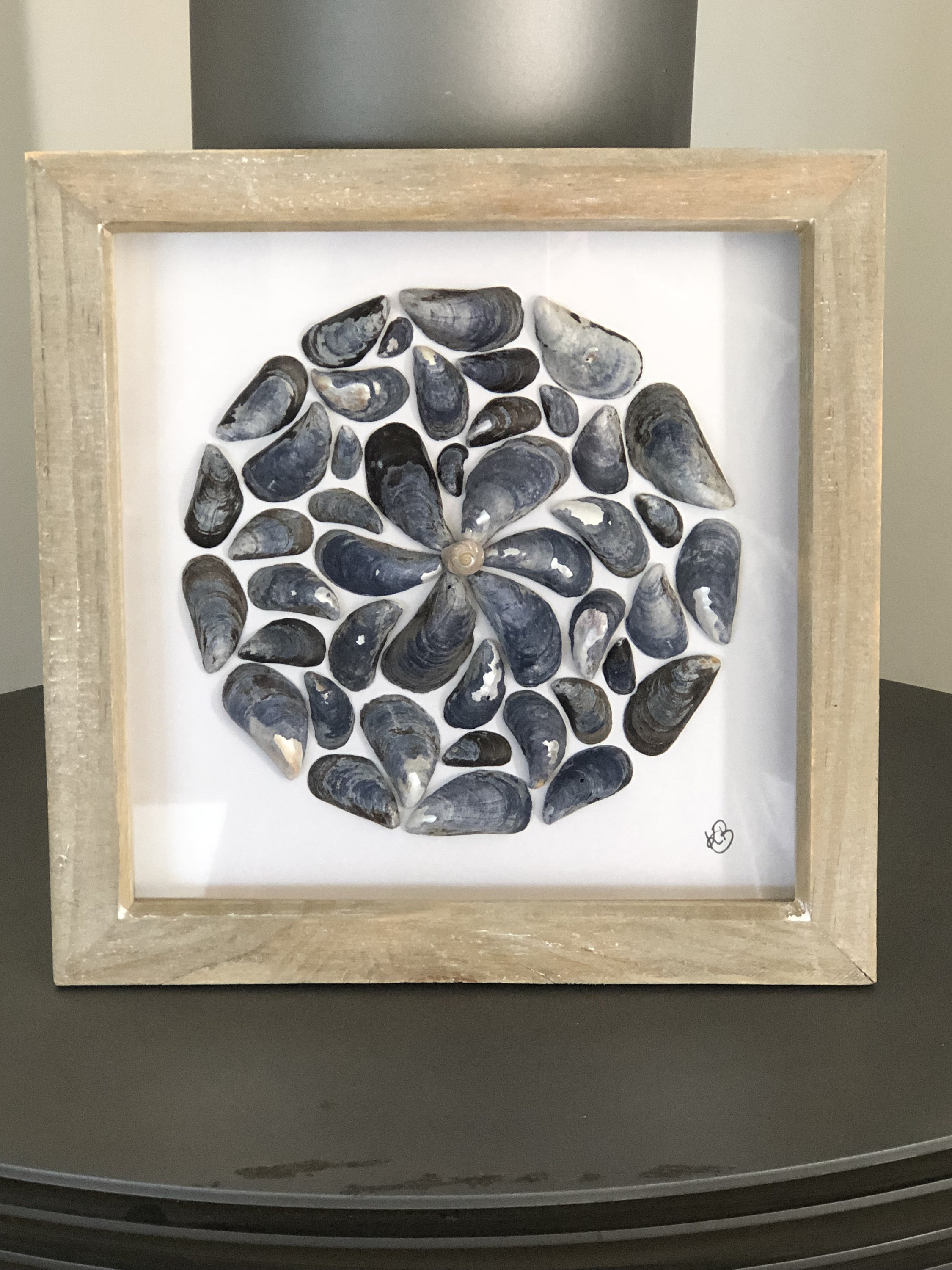 Cornish Mussel Shell Round Picture in Neutral Deep Box Frame - Etsy UK