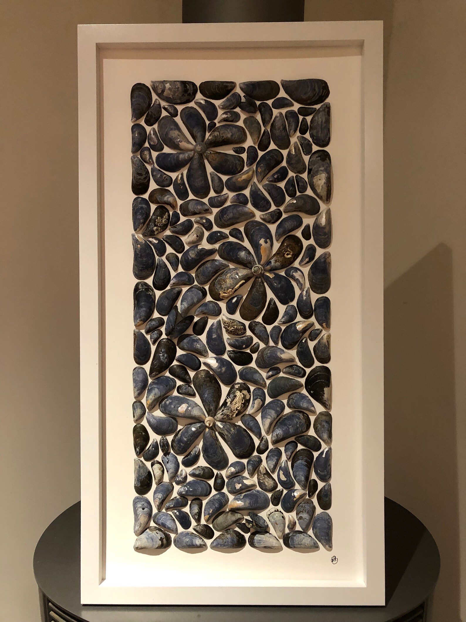 Rectangle Cornish Mussel Shell Picture - Etsy