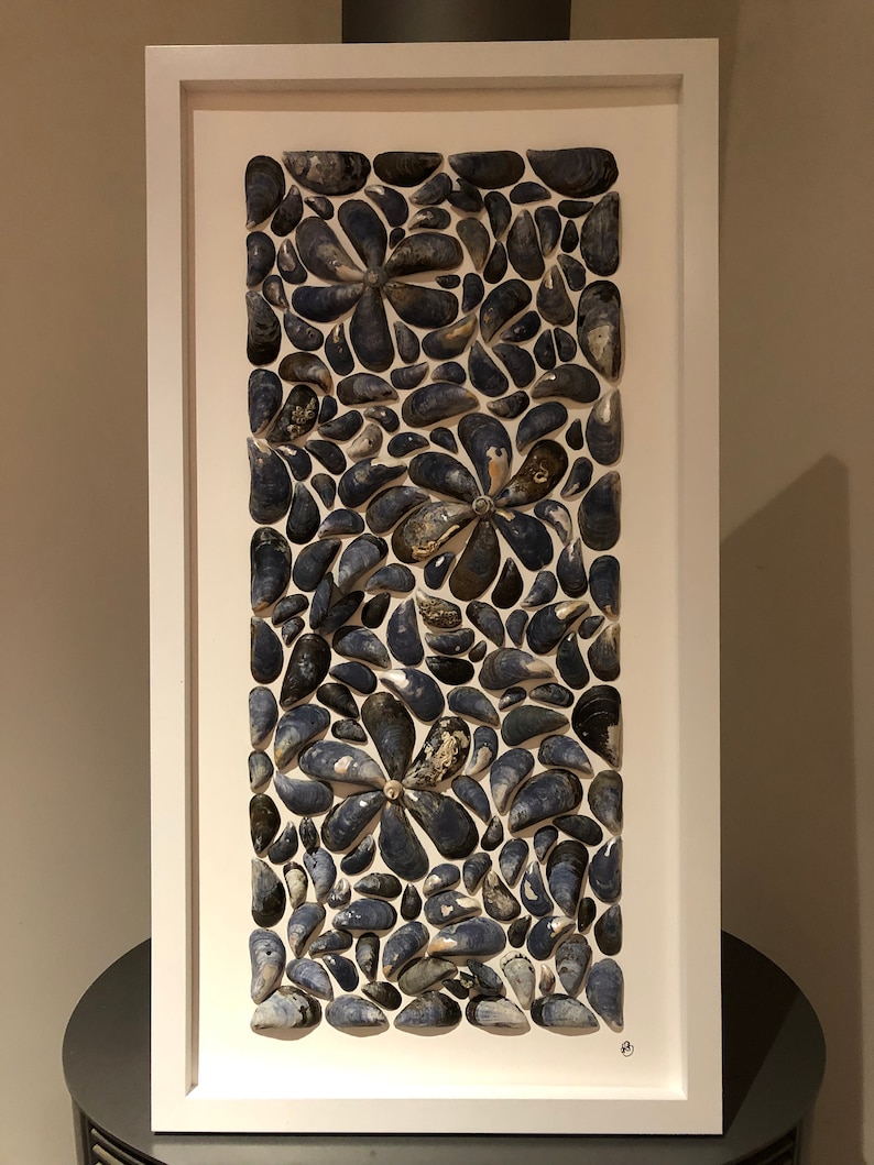Rectangle Cornish Mussel Shell Picture - Etsy