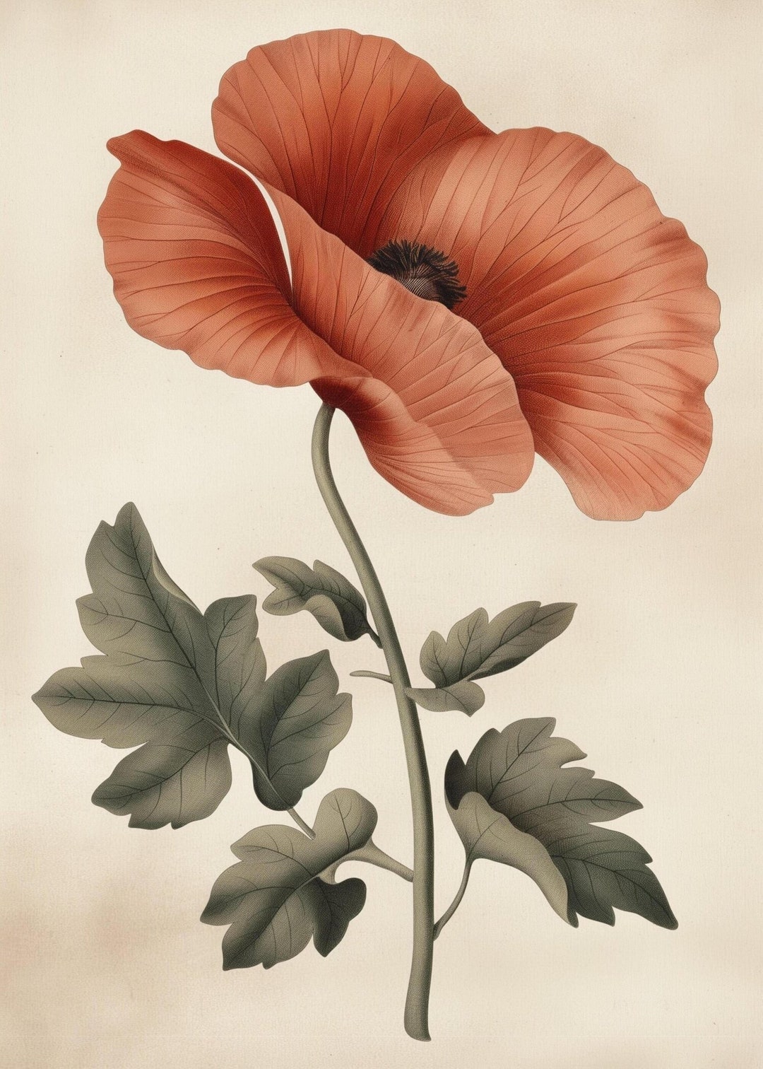 Retro Orange Poppy Print: Vintage Botanical Art (digital Download) - Etsy
