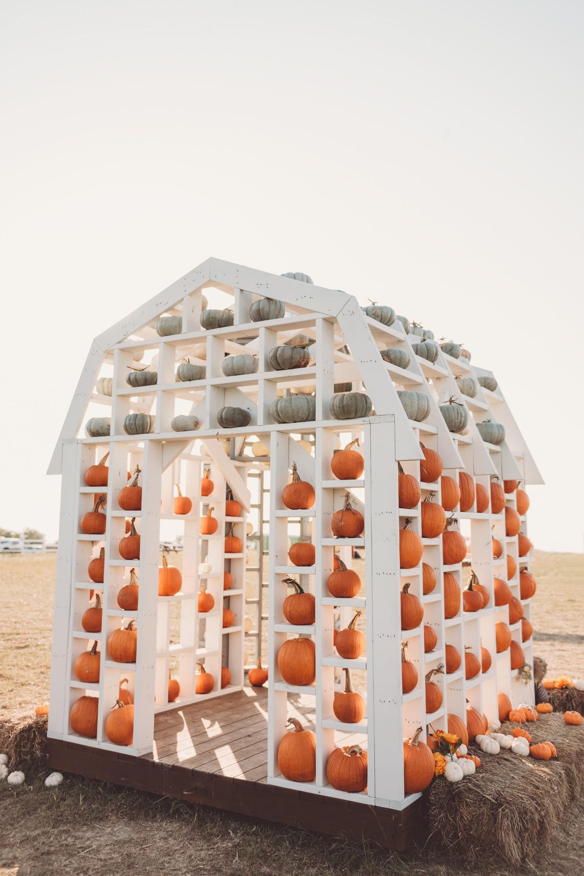 Pumpkin Barn Fall Digital Backdrop | Outdoor Autumn Photography ...