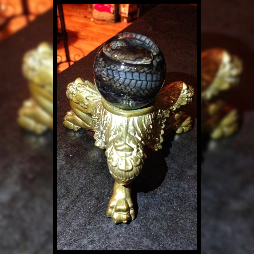 Preserved venemous Snake Wet Specimen - Etsy