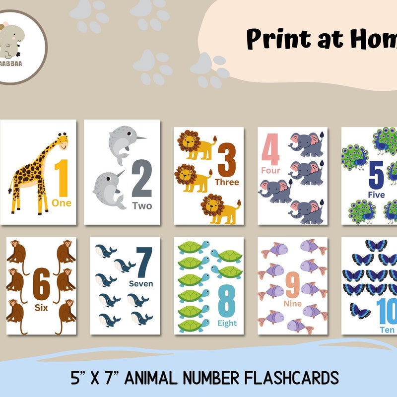 Number Flash Cards - Etsy