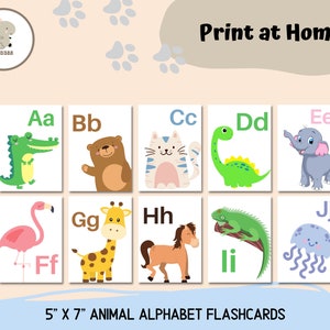 Animal Alphabet Flash Cards | A - Z | ABC Animal Flash Cards ...