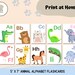 Animal Alphabet Flash Cards | A - Z | ABC Animal Flash Cards ...