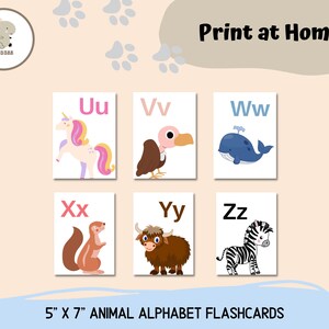 Animal Alphabet Flash Cards | A - Z | ABC Animal Flash Cards ...