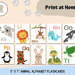 Animal Alphabet Flash Cards | A - Z | ABC Animal Flash Cards ...