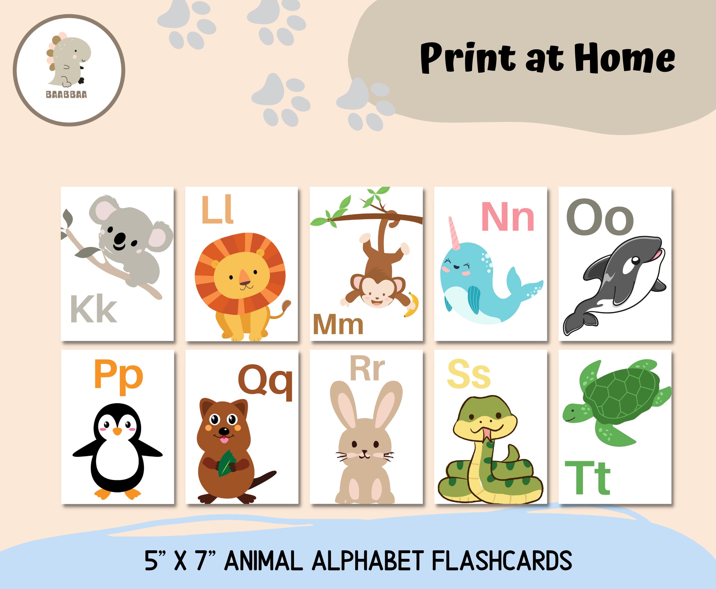 Animal Alphabet Flash Cards | A - Z | ABC Animal Flash Cards ...