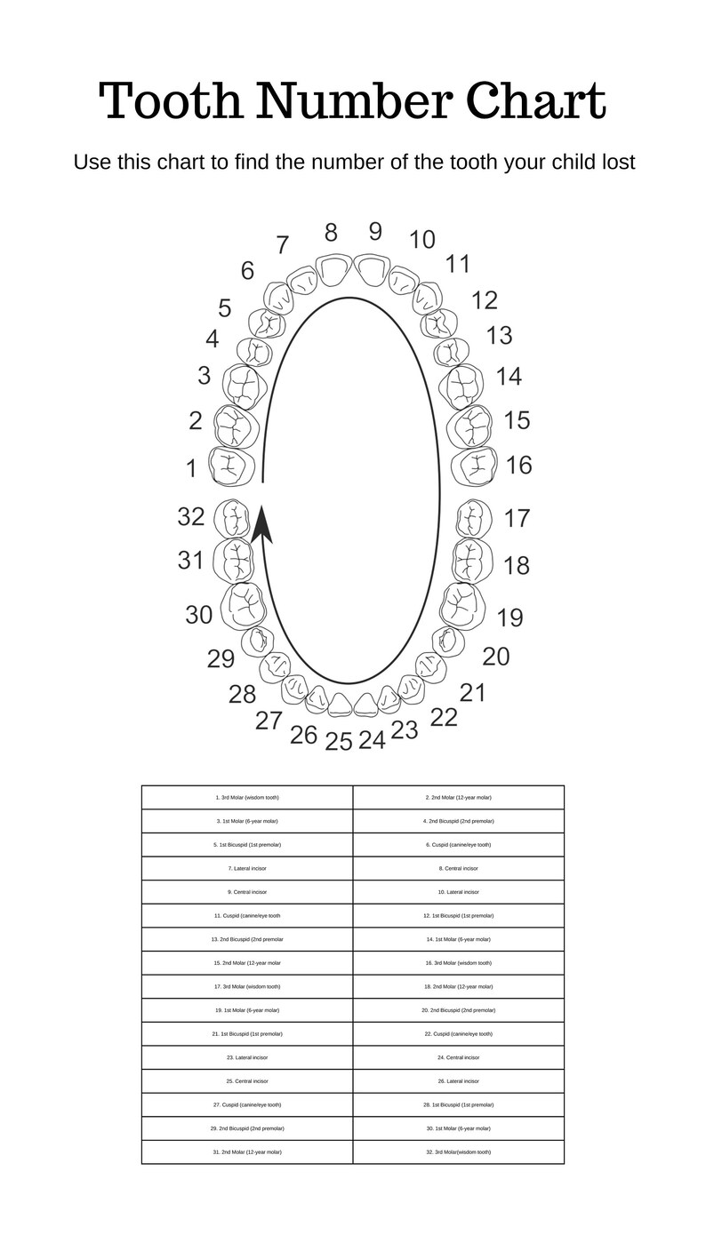 INSTANT EDITABLE + PRINTABLE - Moneyless Tooth Fairy Receipt, Tooth ...