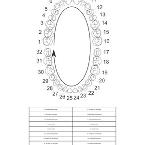 INSTANT EDITABLE + PRINTABLE - Official Tooth Fairy Receipt, Tooth ...