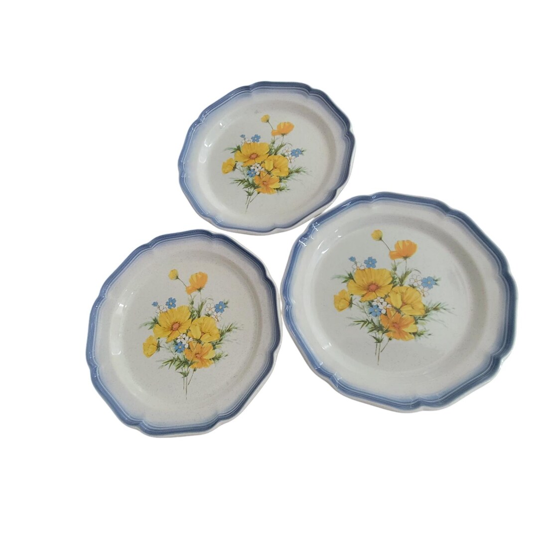 Vintage Mikasa Country Club Amy Dinner Dish Blue Edge Daisy Flowers Set ...
