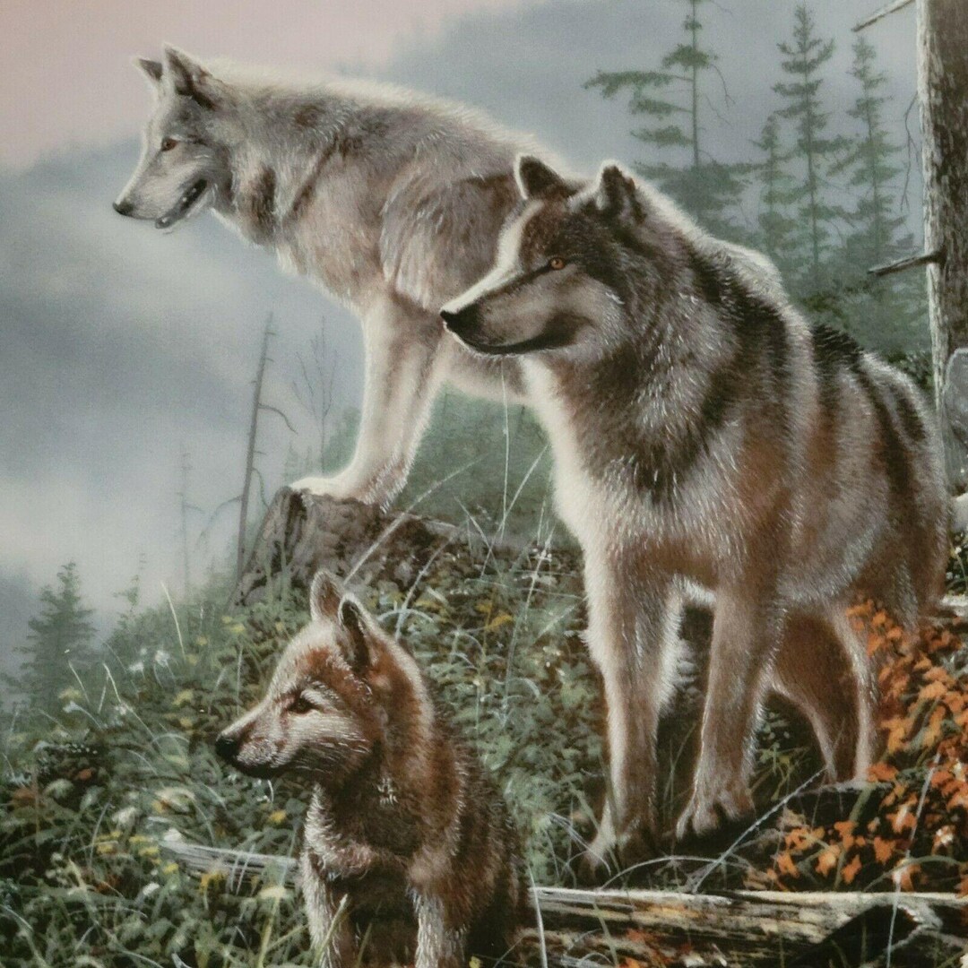 Vintage Wolves Plates Ahead of the Pack Series Knowles - Etsy