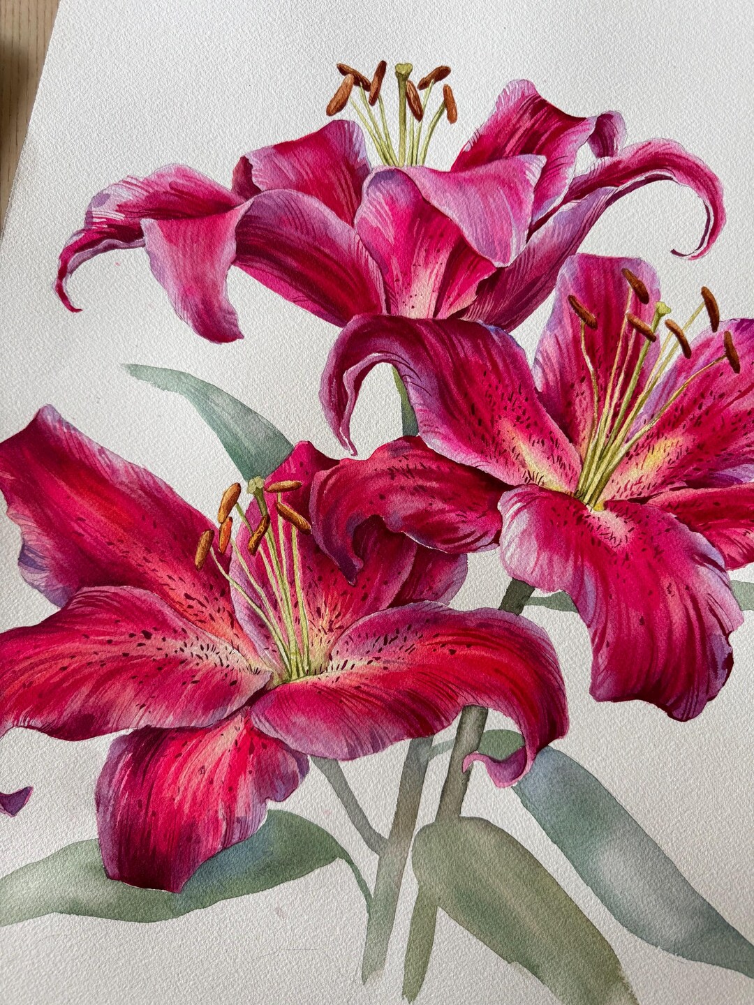 Original Hand-painted Lilies Watercolor Painting: Floral Wall Art - Etsy