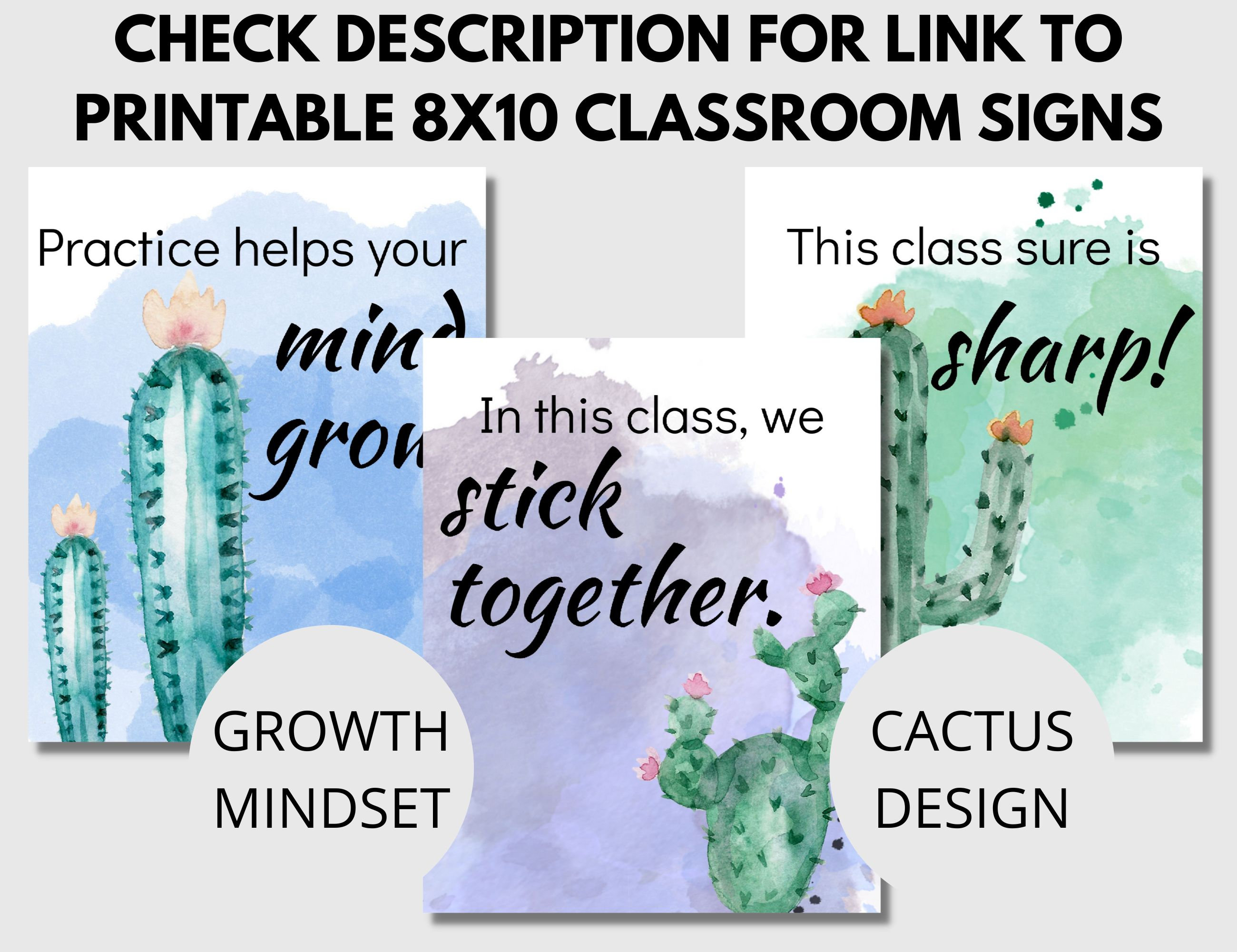 ABC Alphabet Matching Cards Upper and Lowercase Cactus Succulent Growth ...