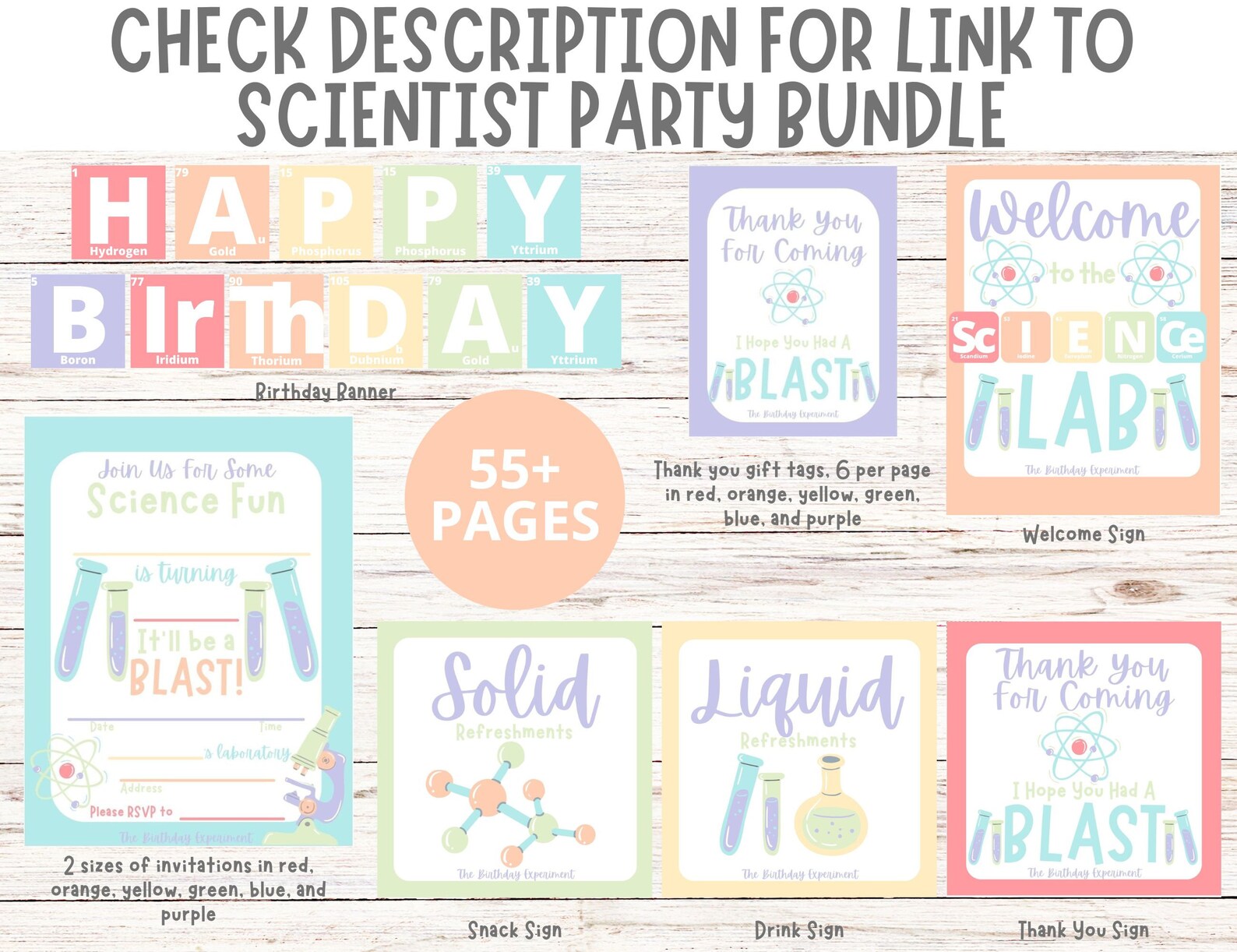 Simple Party Planner Worksheet Printable Birthday Planner - Etsy