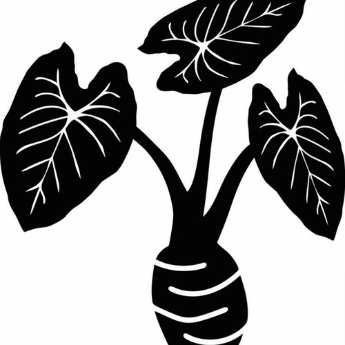 3 Leaf Kalo Plant SVG Taro Plant SVG Kalo SVG Leaf Png - Etsy Canada