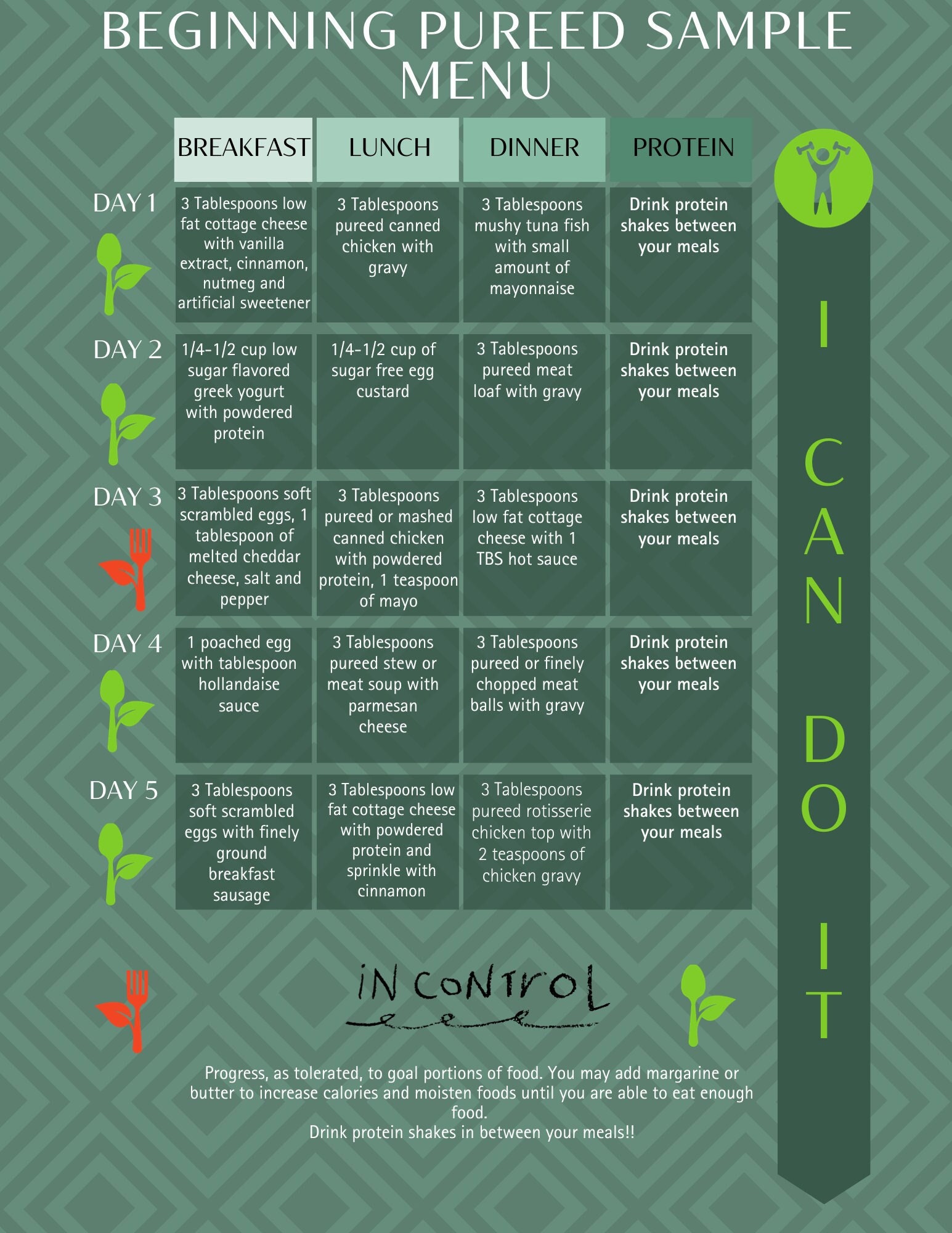 Bariatric Surgery Lifestyle - Beginning Pureed Sample Menu - Etsy