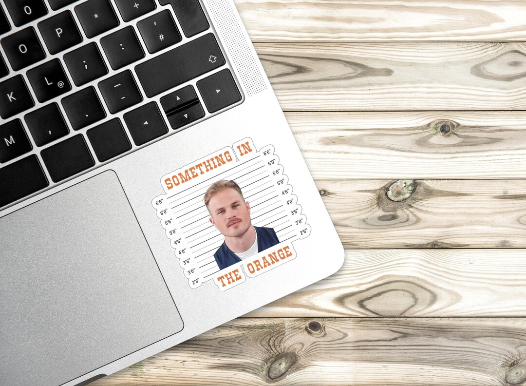 Zach Bryan Mugshot Sticker, Funny Country Music Decal, Kiss-cut Stickers, Laptop, Water Bottle ...