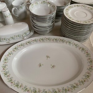 Vintage Johann Haviland “forever Spring” China - Etsy