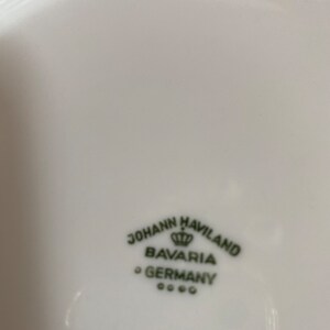 Vintage Johann Haviland “forever Spring” China - Etsy