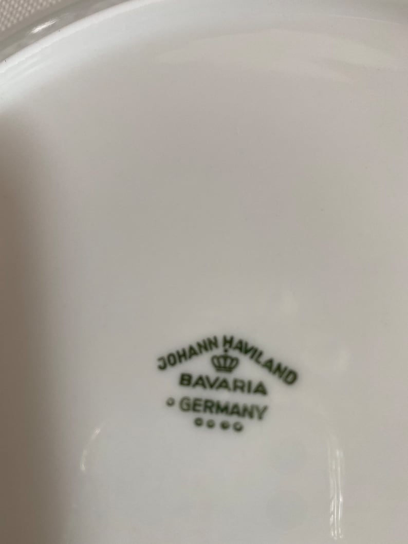 Vintage Johann Haviland “forever Spring” China - Etsy