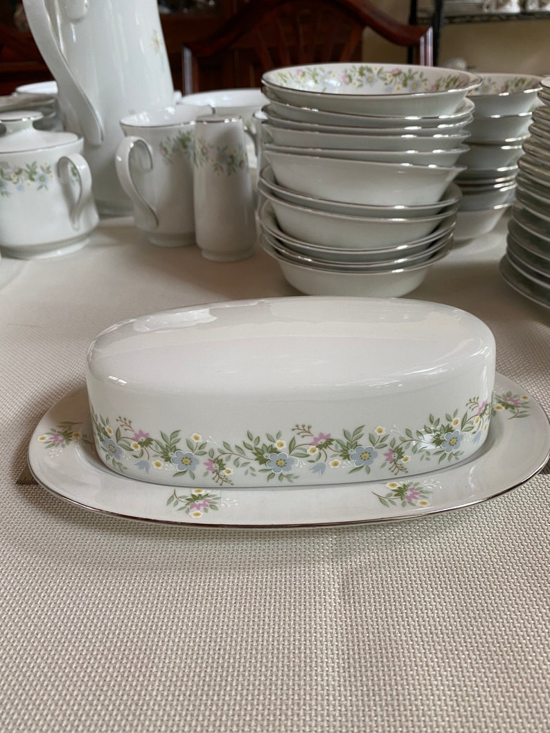 Vintage Johann Haviland “forever Spring” China - Etsy