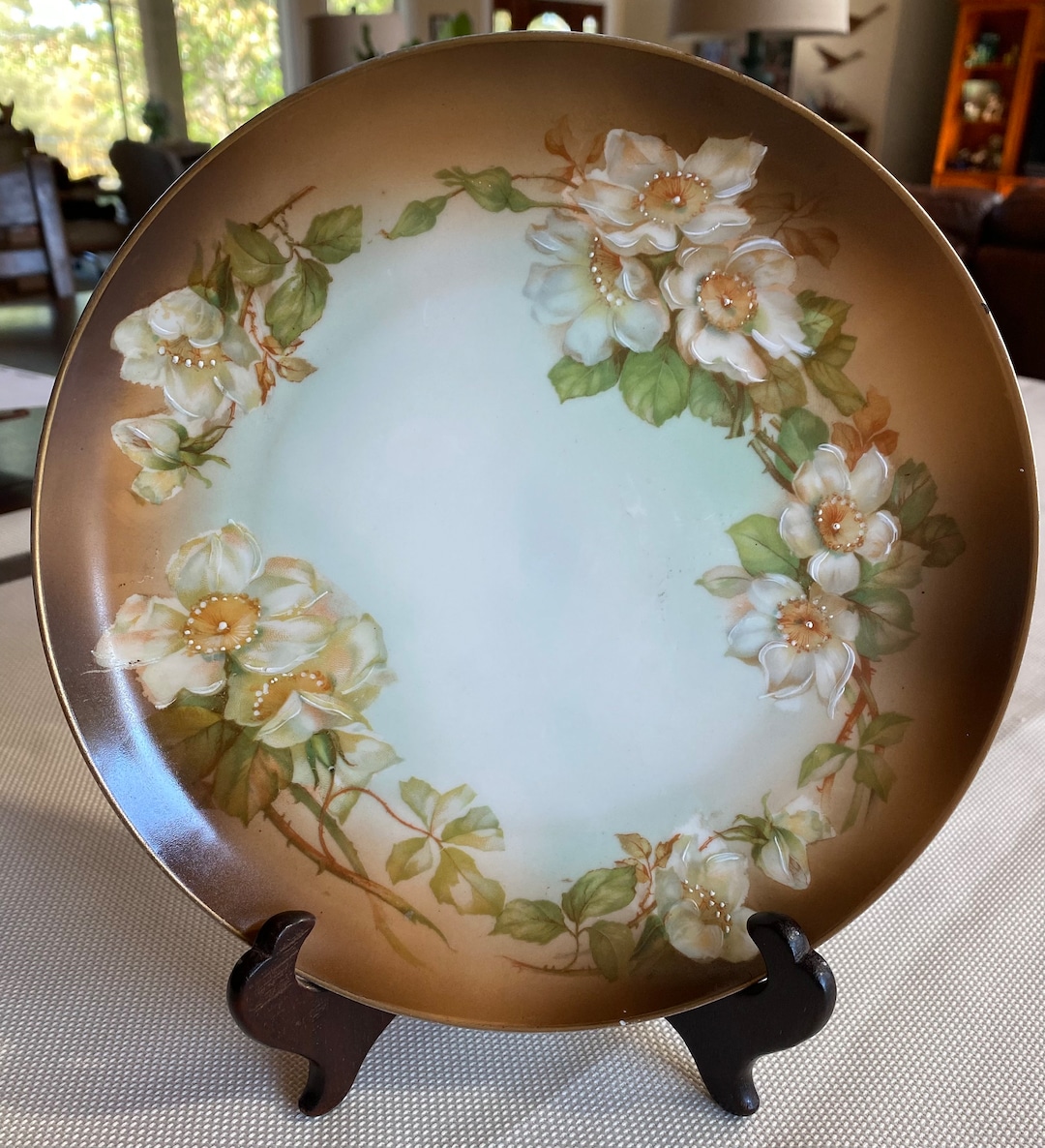 Antique MZ Austria Porcelain Floral Plate - Etsy