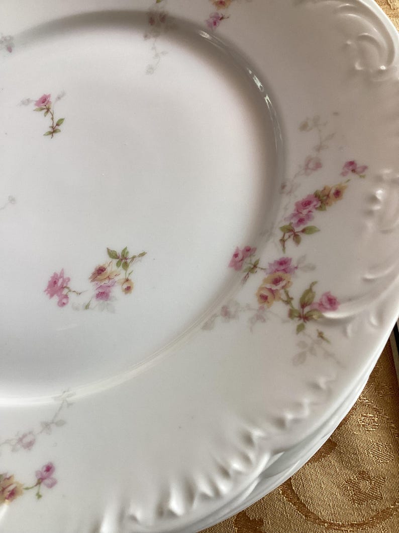 Theodore Haviland Limoges Schleiger 150 Porcelain Dinnerware - Etsy