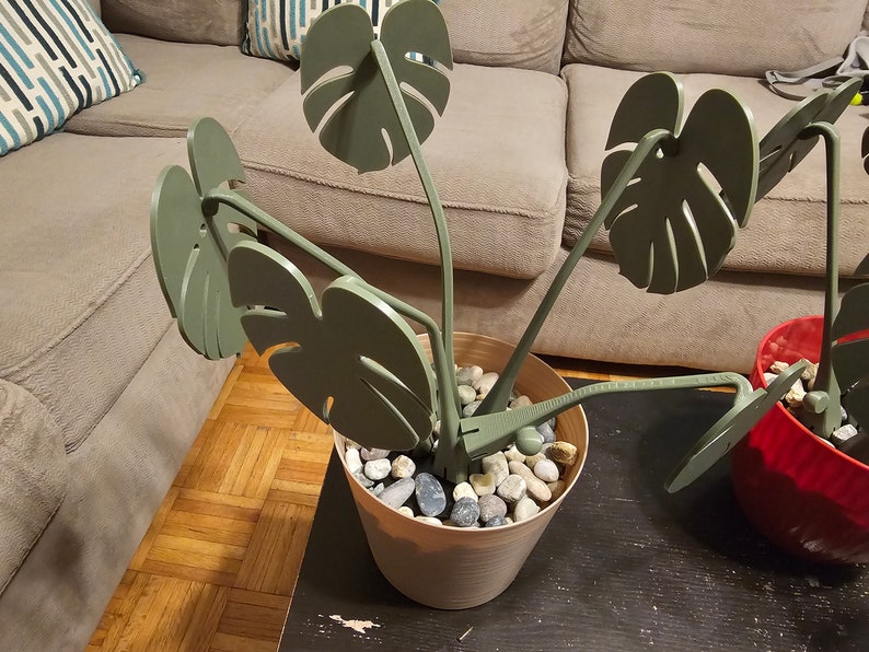 Forgecore 3D Printed Monstera Coaster Plant - Etsy
