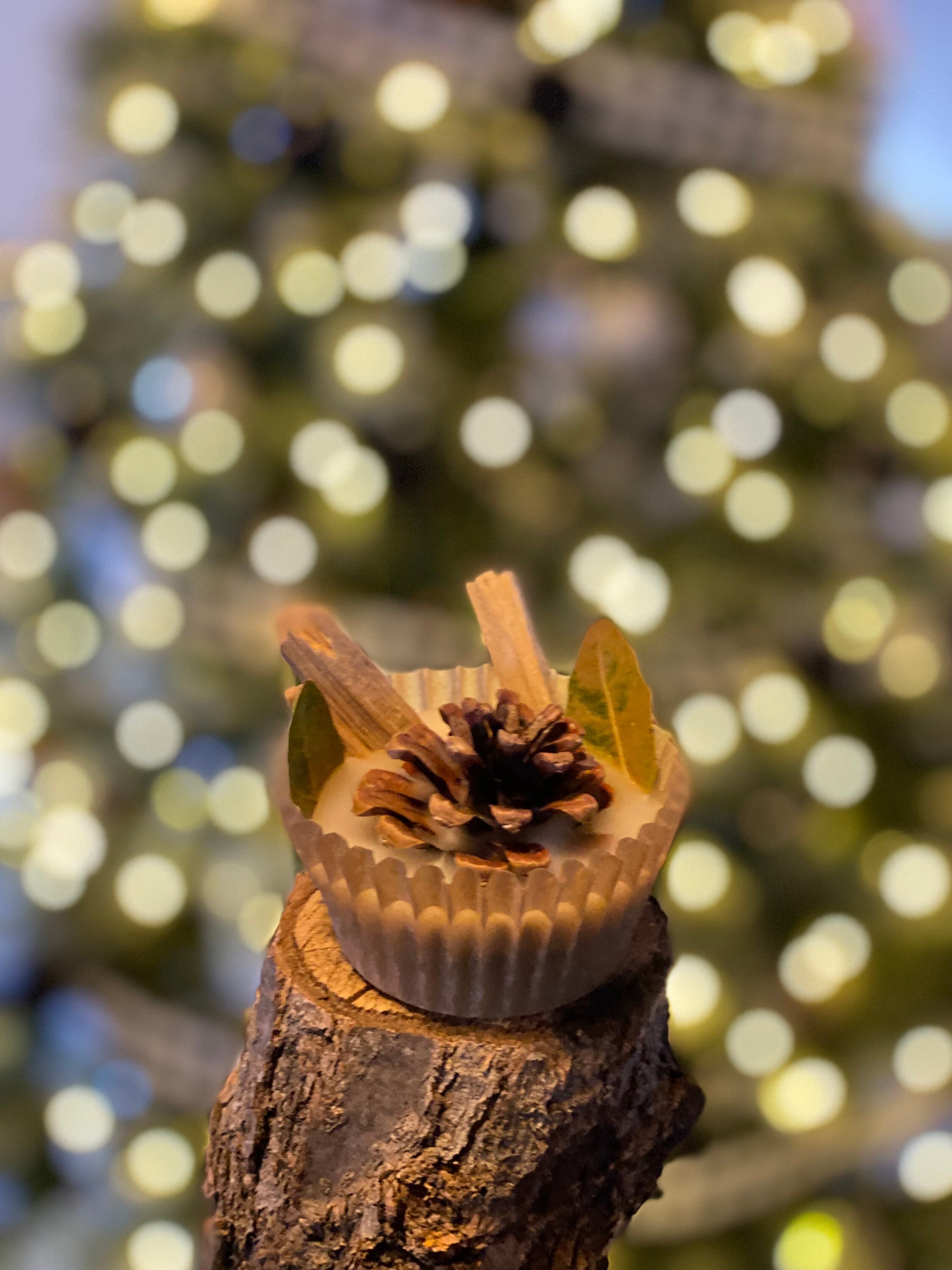 Fire Starters by Primitive Fire - Etsy