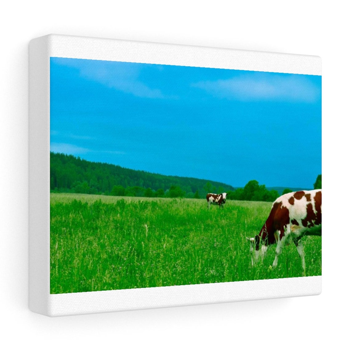 Cows in the Pasture on Satin Canvas - Etsy