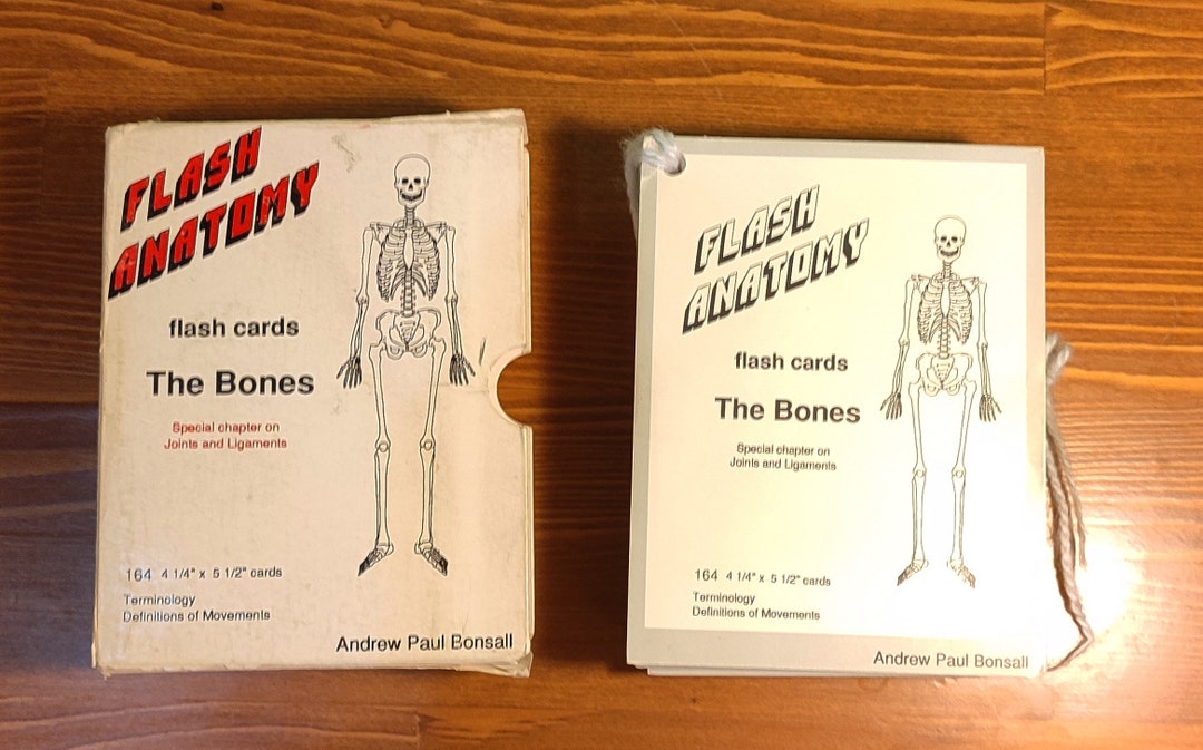 Flash Anatomy Flash Cards the Bones Vintage Medical Students Cards - Etsy