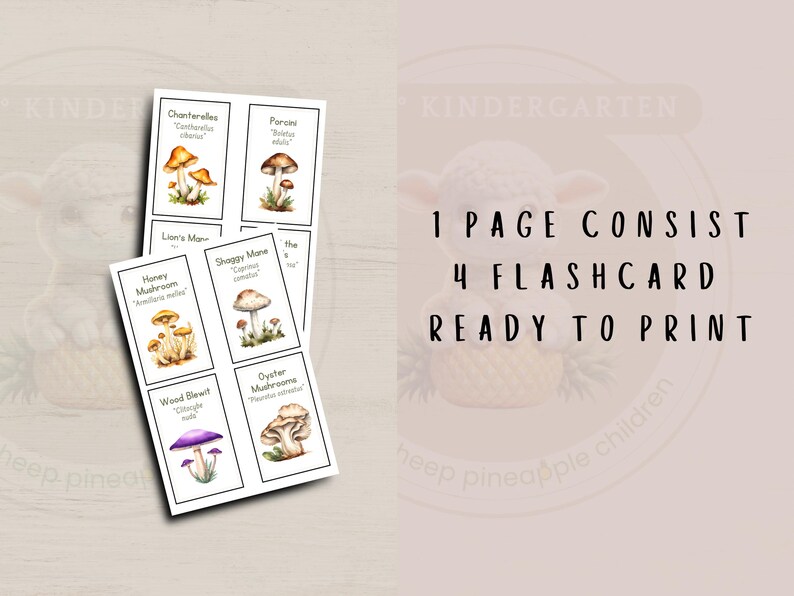 Mushroom Flashcards for Kids | Wild Mushroom | Autumn Nature Study ...