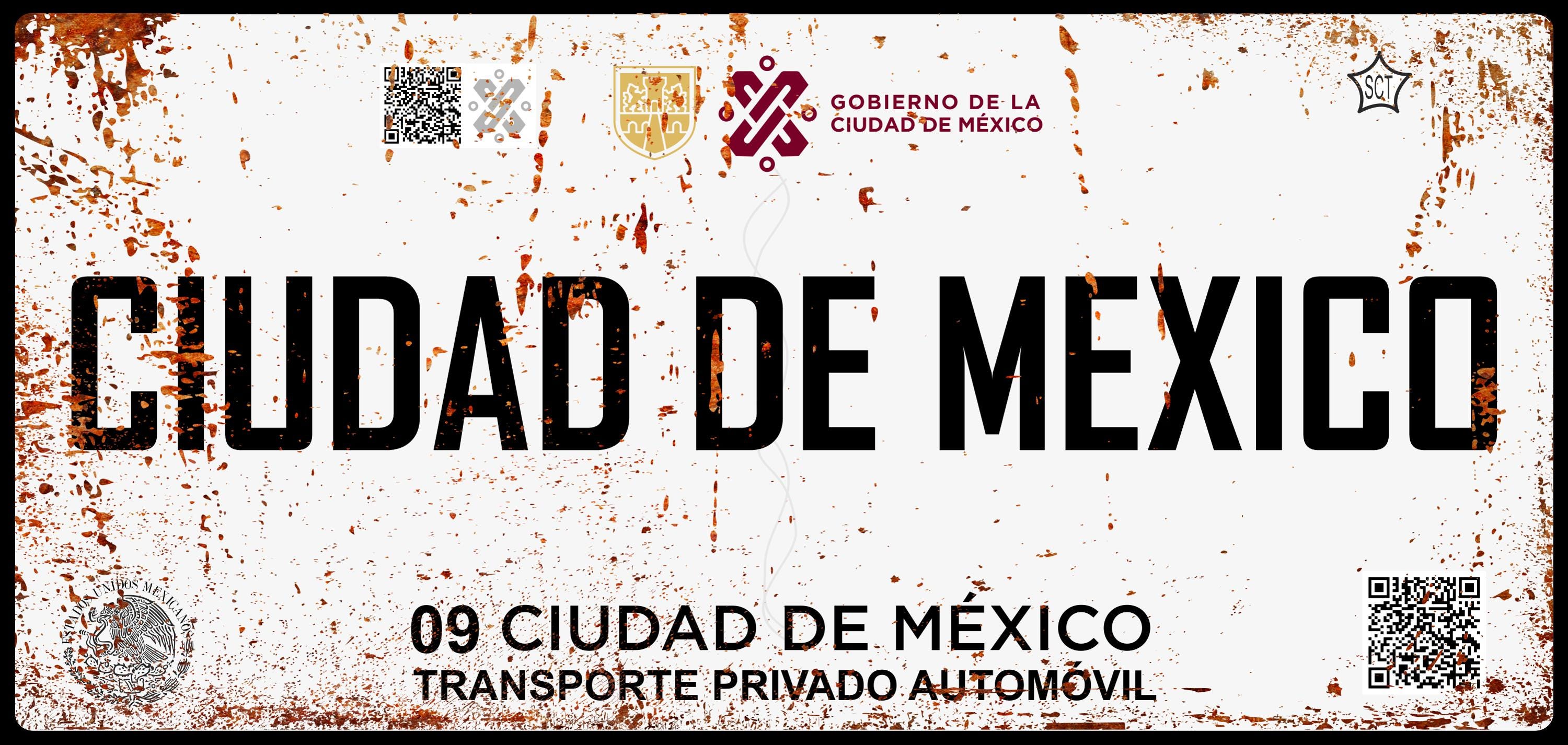 Custom Mexican State License Plate, Vintage Style Car Tag, Personalized ...