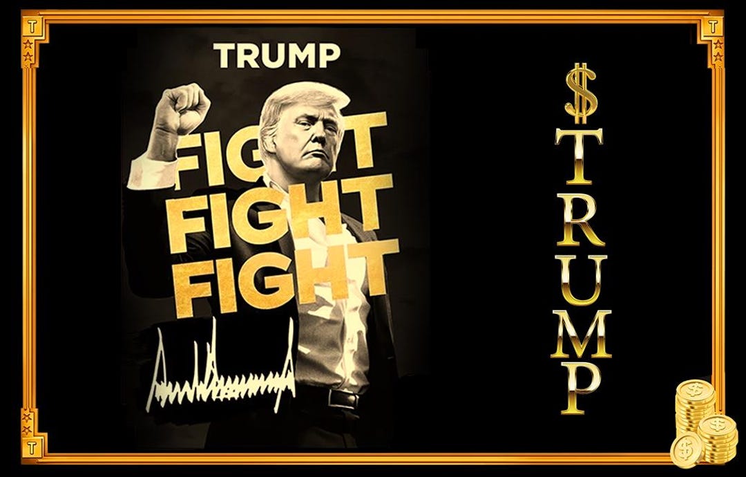 TRUMP Coin Wallet Card, Funny Meme Coin Cold Storage, Personalized MAGA ...