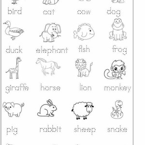 Trace Words Worksheet - Etsy