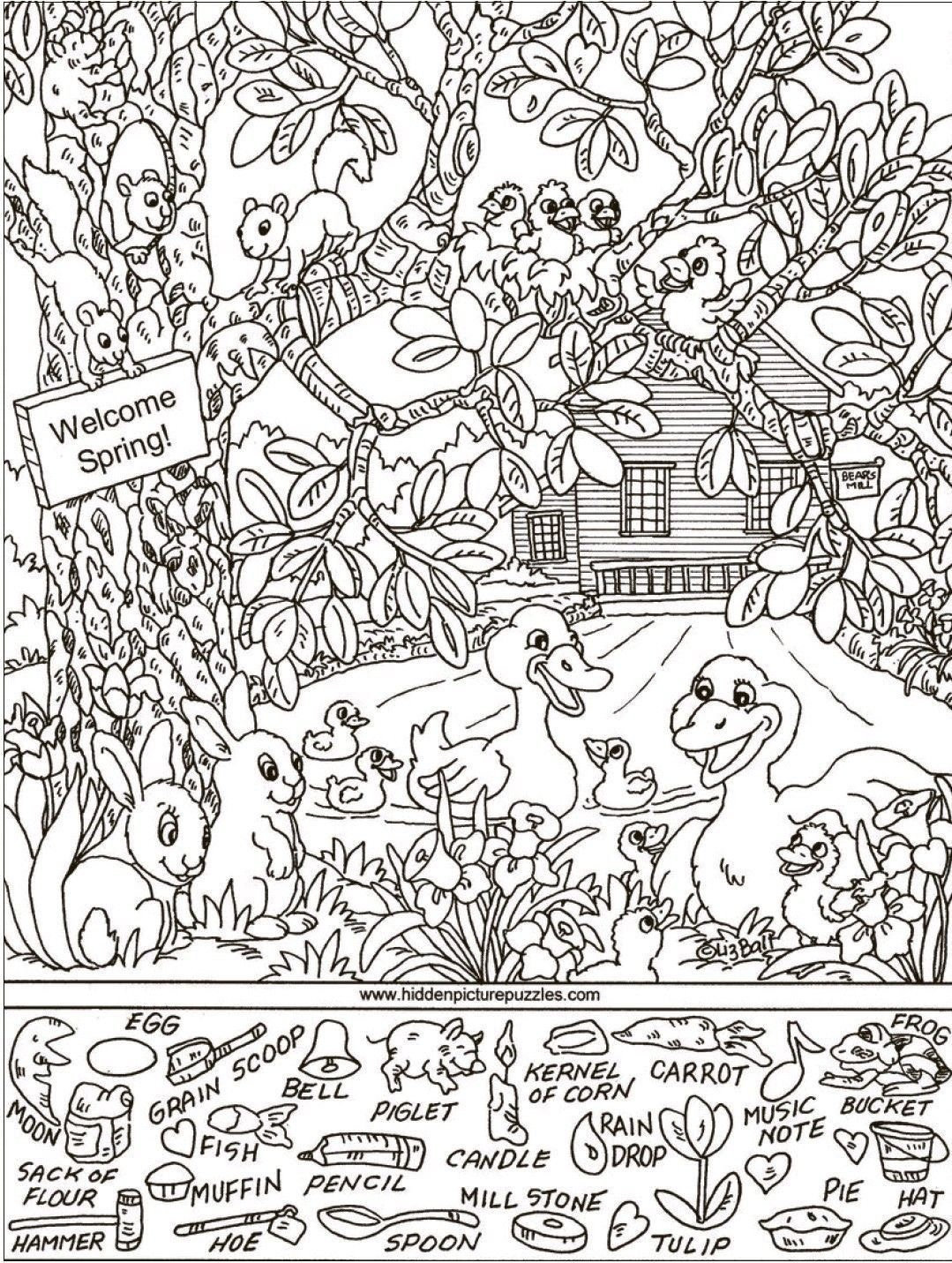 Hidden Pictures Children and Adult Level Picture Search - Etsy