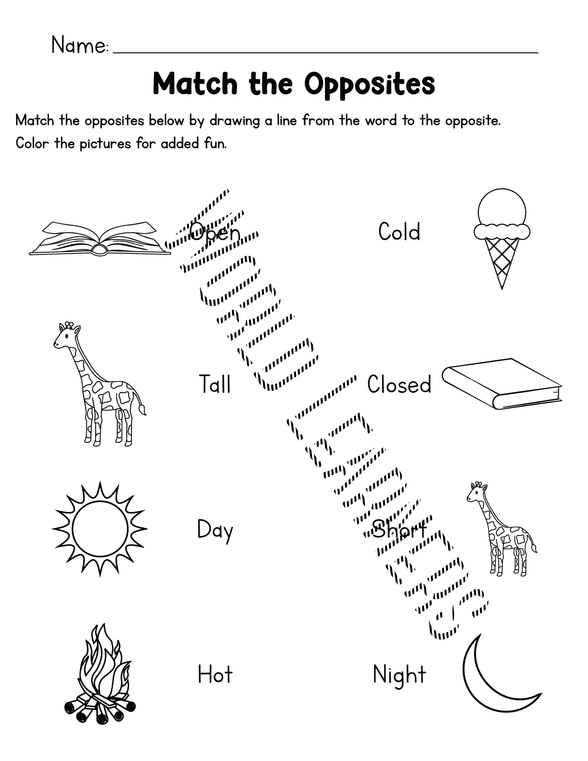 Opposite Words Worksheet Prek and K Curriculum - Etsy