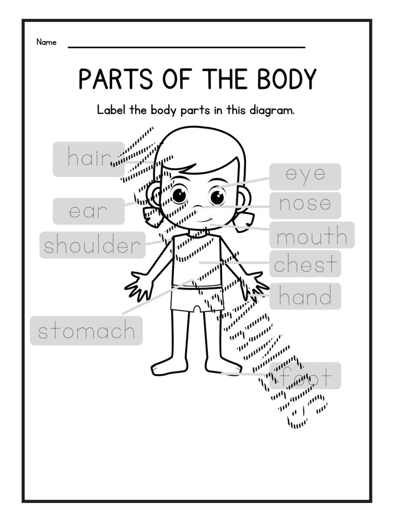 Downloadable Prek and K Science Worksheets - Etsy