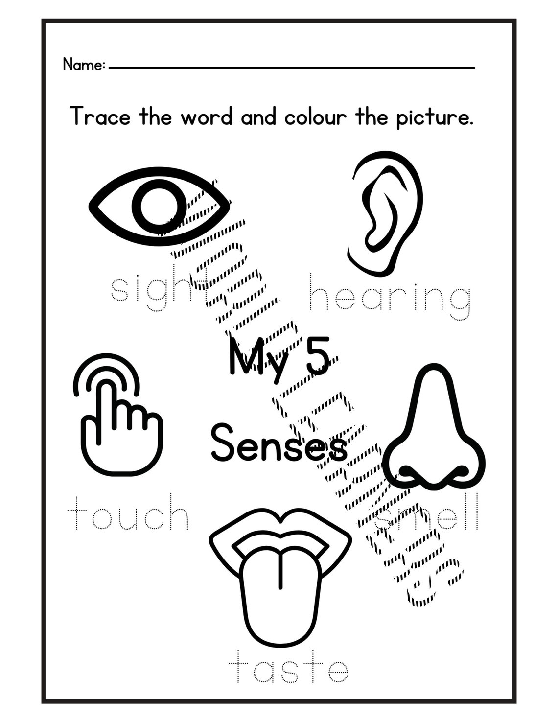 Downloadable Prek and K Science Worksheets - Etsy