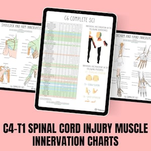 Cervical Spinal Cord Injury Muscle Innervation Chart | Quadriplegia ...