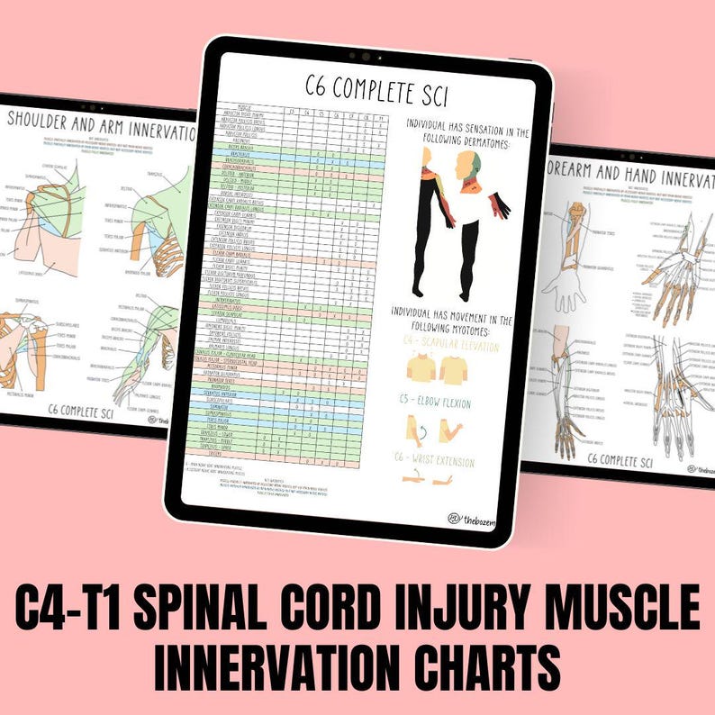 Cervical Spinal Cord Injury Muscle Innervation Chart | Quadriplegia | Neurology | Physical ...