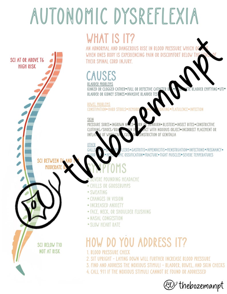 Autonomic Dysreflexia Handout: Spinal Cord Injury Study Guide (PDF) - Etsy