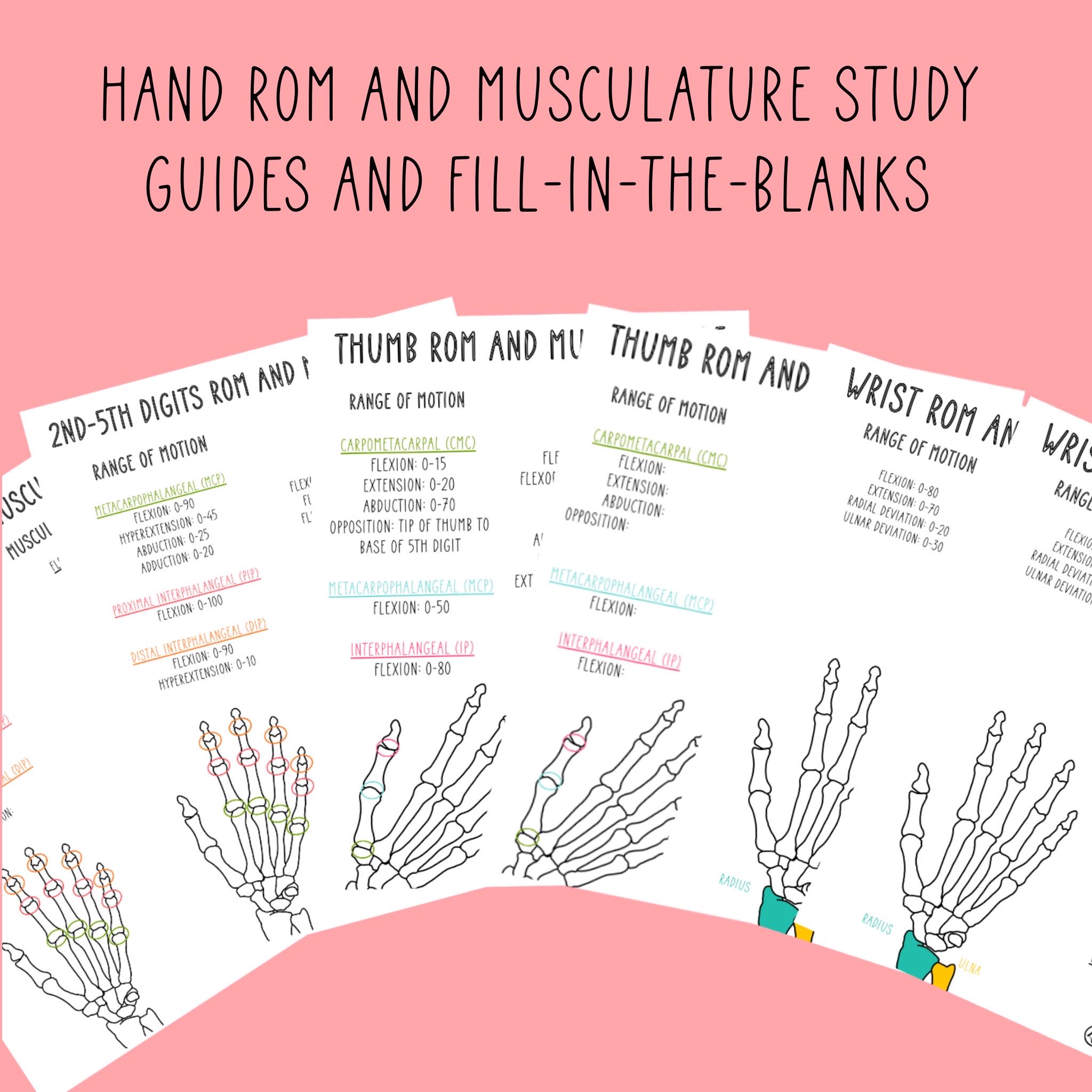 Upper Extremity Anatomy Study Guide | Digital Download | Shoulder ...