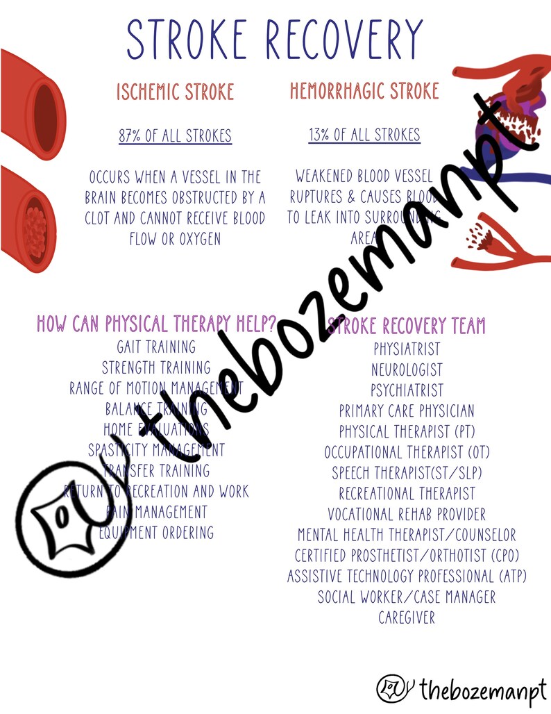 Stroke Recovery Team Educational Handout - Etsy