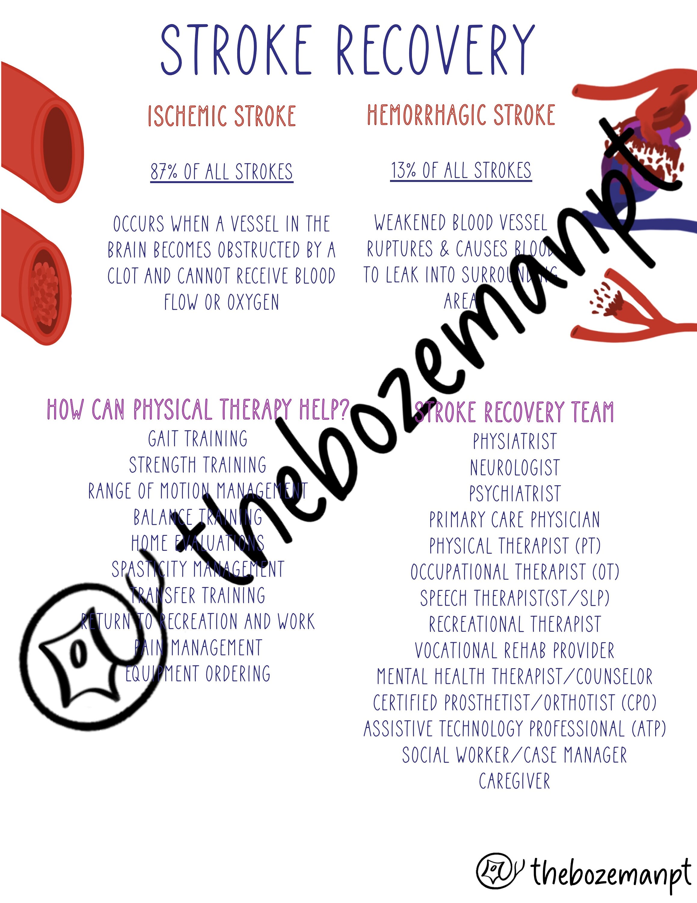 Stroke Recovery Team Educational Handout - Etsy