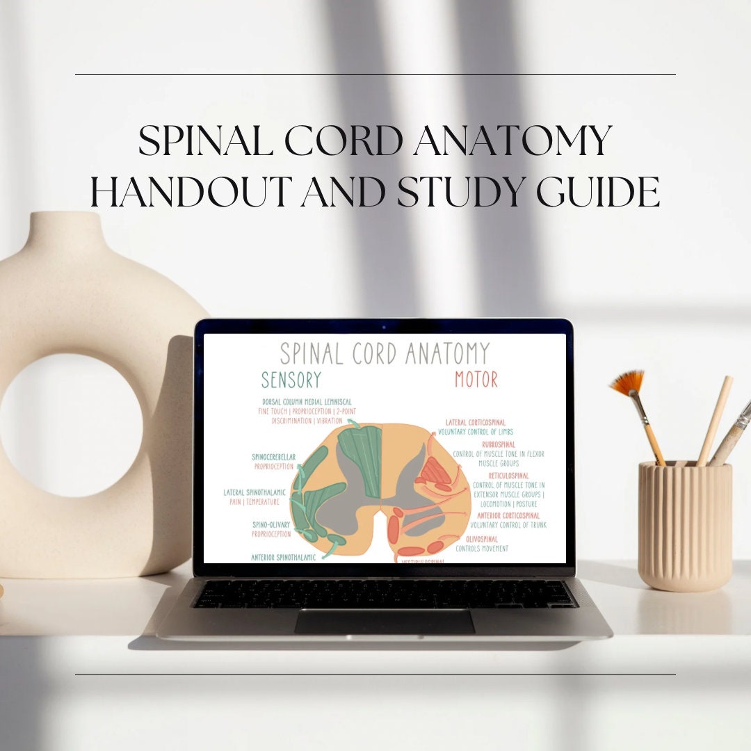 Spinal Cord Injury Motor and Sensory Pathways Handout and Study Guide ...